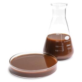 Active Hydro Wheat Syrup