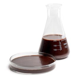 Liquid Krill Hydrolysate