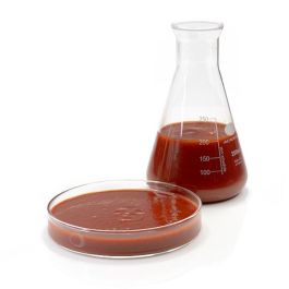 Fermented Chilli Extract