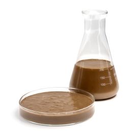 Liquid Liver Hydrolysate